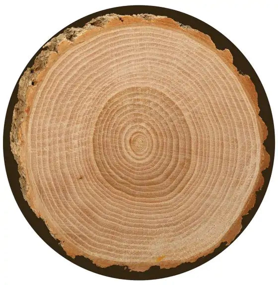 NEW Retails $236, Round Log Playmat (150 cm) (6ft Round) Made from Pol ...