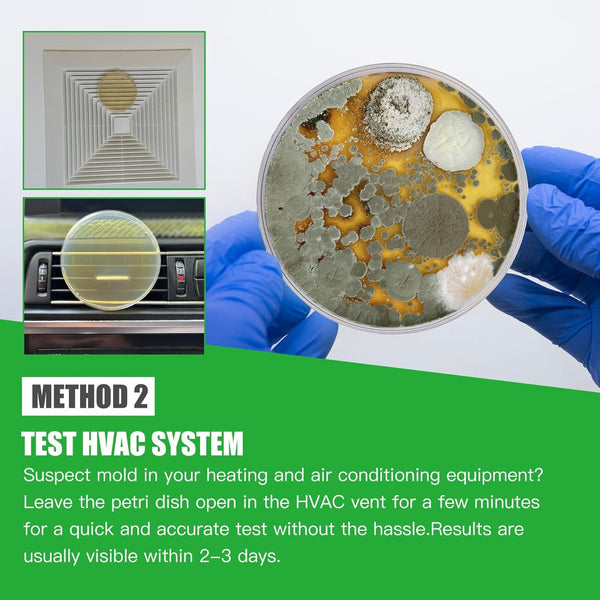 NEW Mold Test Kit for Home Within 6 Individual Tests, DIY Detector at ...