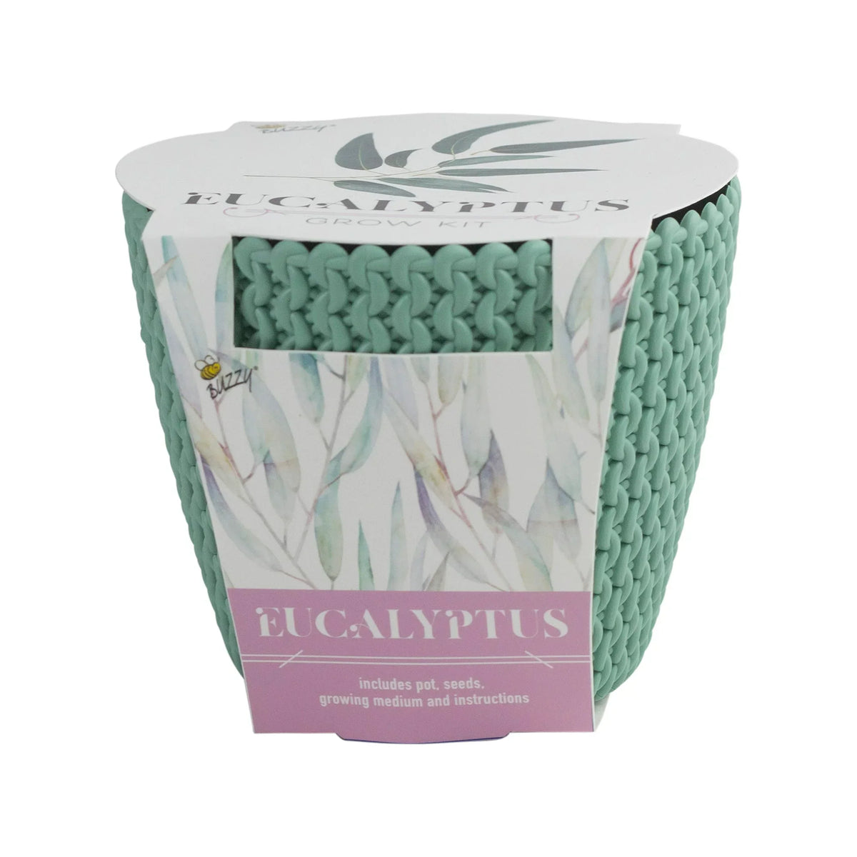 NEW Buzzy Woven Grow Pot Eucalyptus House Plant, includes everything y ...