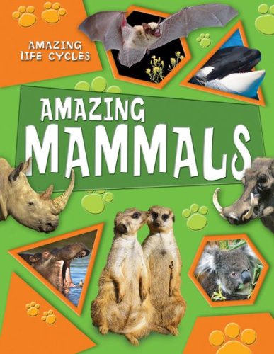 New Amazing Mammals (Amazing Life Cycles) softcover – The Warehouse ...