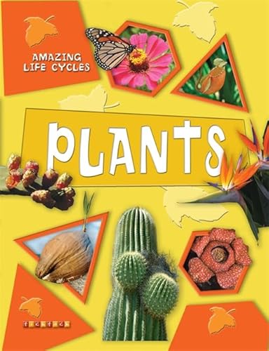New Amazing Plants (Amazing Life Cycles) softcover – The Warehouse ...
