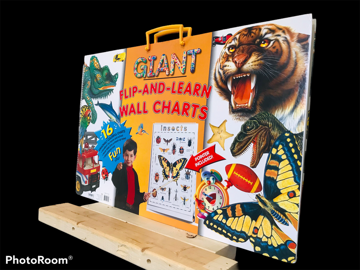 Brand new Giant Flip-And-Learn Wall Charts! Great for home use or clas ...
