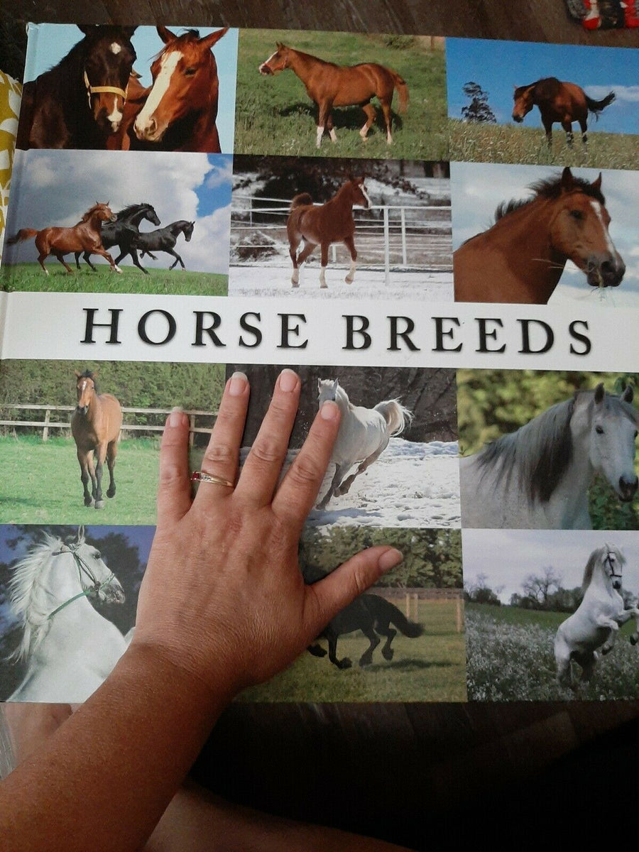 Massive Large Horse Breeds Book by James Kingston 18x18 Inch Size ...