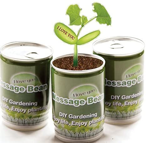 New Magic bean - Plant in a can with message 'I Love You', includes 1 ...